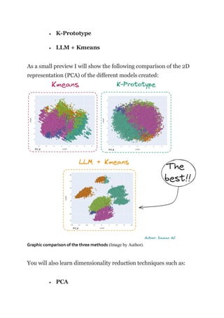 Mastering Customer Segmentation with LLM.pdf