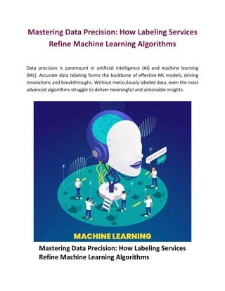 Mastering Data Precision: How Labeling Services Refine Machine Learning ...