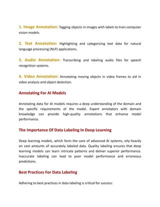 Mastering Data Precision: How Labeling Services Refine Machine Learning Algorithms | PDF