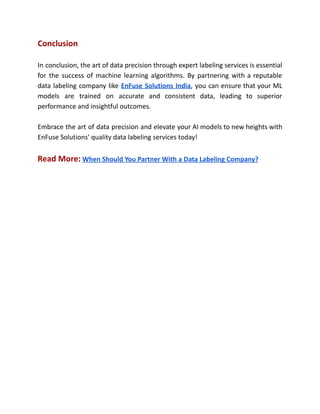 Mastering Data Precision: How Labeling Services Refine Machine Learning ...