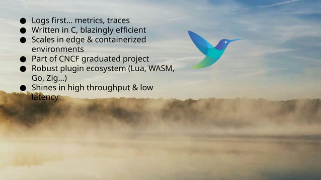 Mastering Fluent Bit: Ultimate Guide to Integrating Telemetry Pipelines with OpenTelemetry | PPT