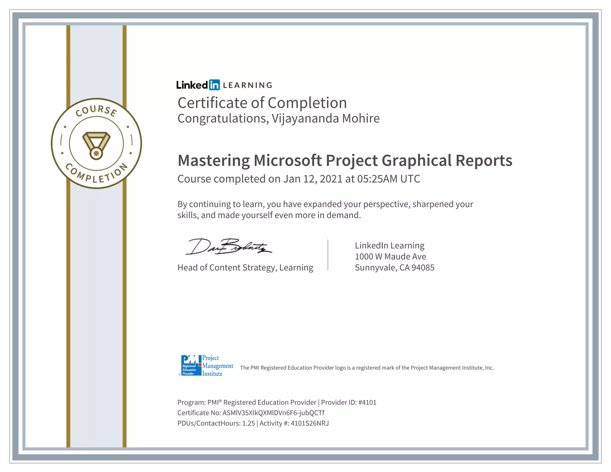 Mastering microsoft project graphical reports pmi | PDF