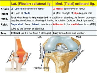 Mastering Mobility- Joints of Lower Limb -Dr. Ahmed Elzainy.pdf