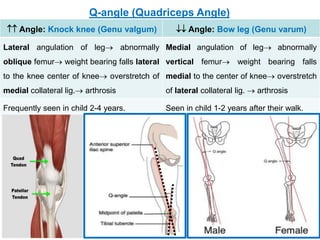 Mastering Mobility- Joints of Lower Limb -Dr. Ahmed Elzainy.pdf