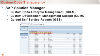Managing SAP Custom Code | PPT