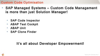 Managing SAP Custom Code | PPT