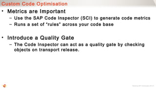 Managing SAP Custom Code | PPT