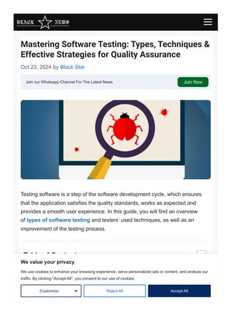 Mastering Software Testing Types, Techniques & Effective Strategies for ...
