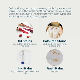 Mastering Stain Spot Cleaning Techniques | PDF
