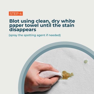 Mastering Stain Spot Cleaning Techniques | PDF