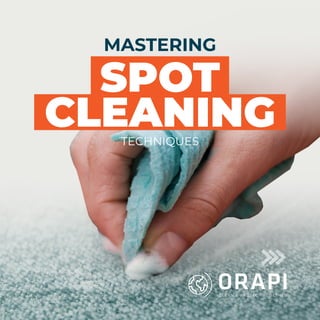 Mastering Stain Spot Cleaning Techniques | PDF
