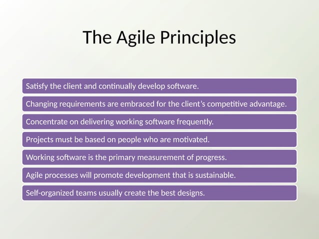 Mastering Web-E Framework and Agile Process Principles, Activities, and Benefits.pptx