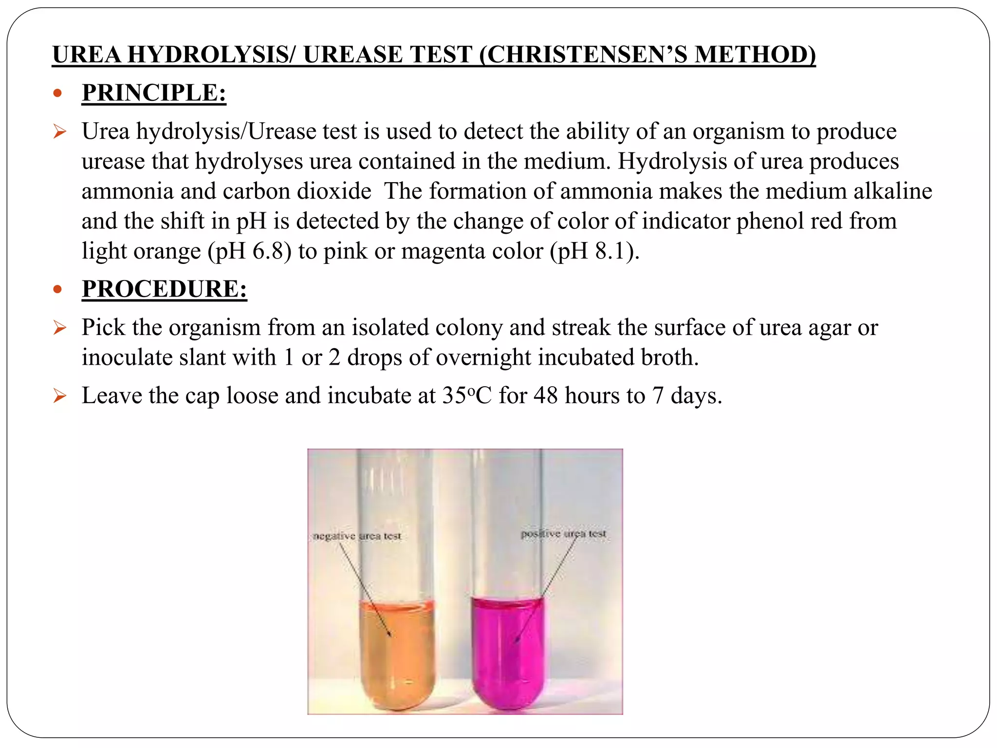 CLINICAL LABORATORY TECHNIQUES | PPTX