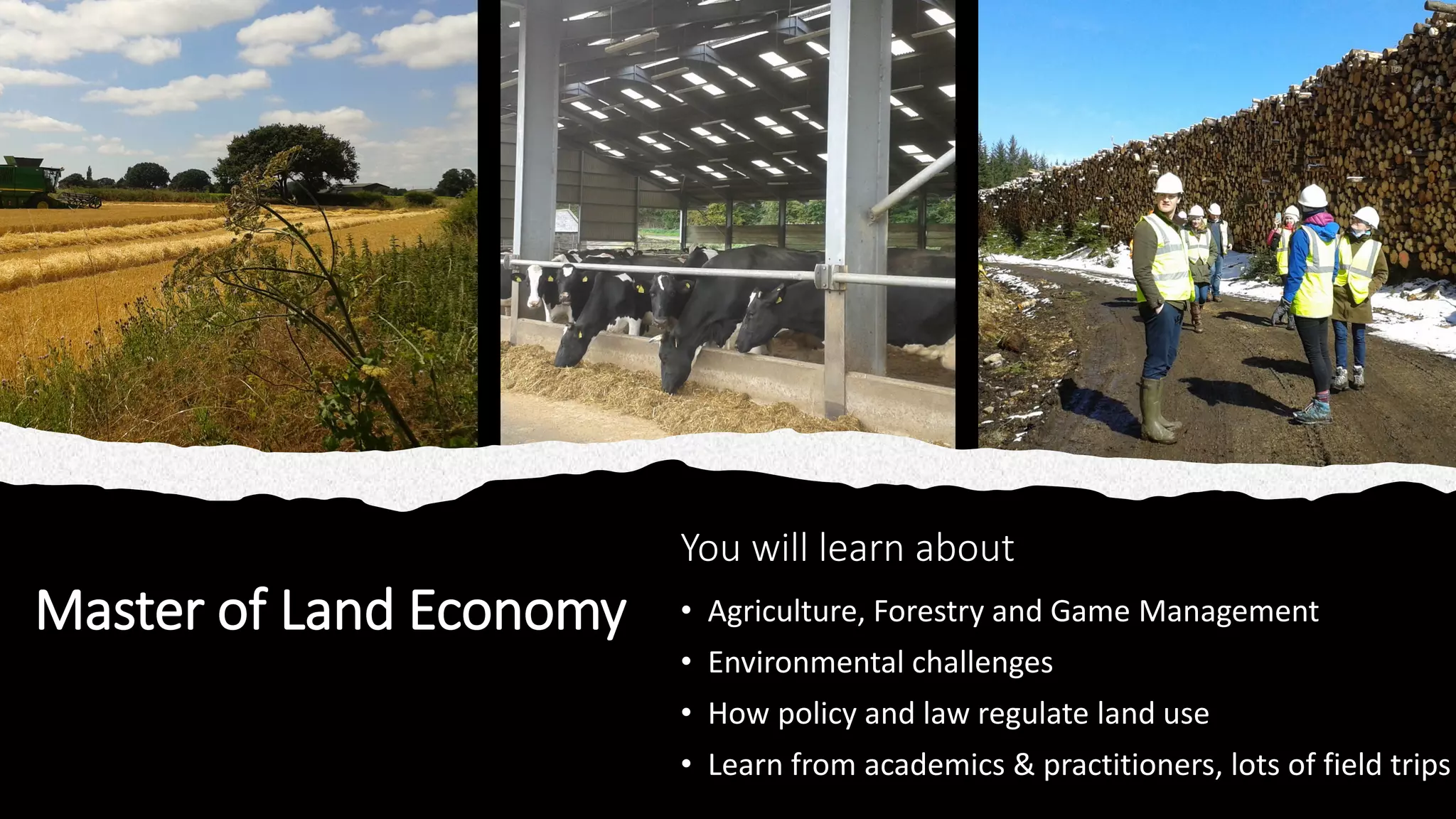 MSc Land Economy | PDF