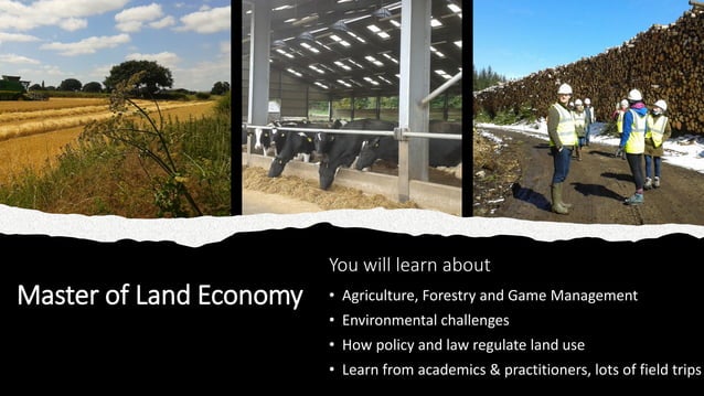 MSc Land Economy | PDF