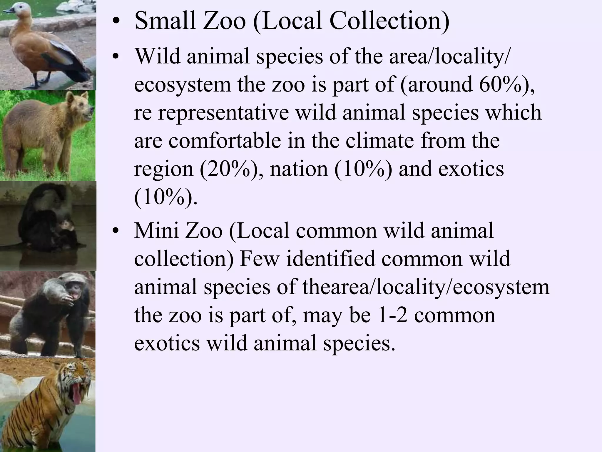 Zoo master Plan.ppt