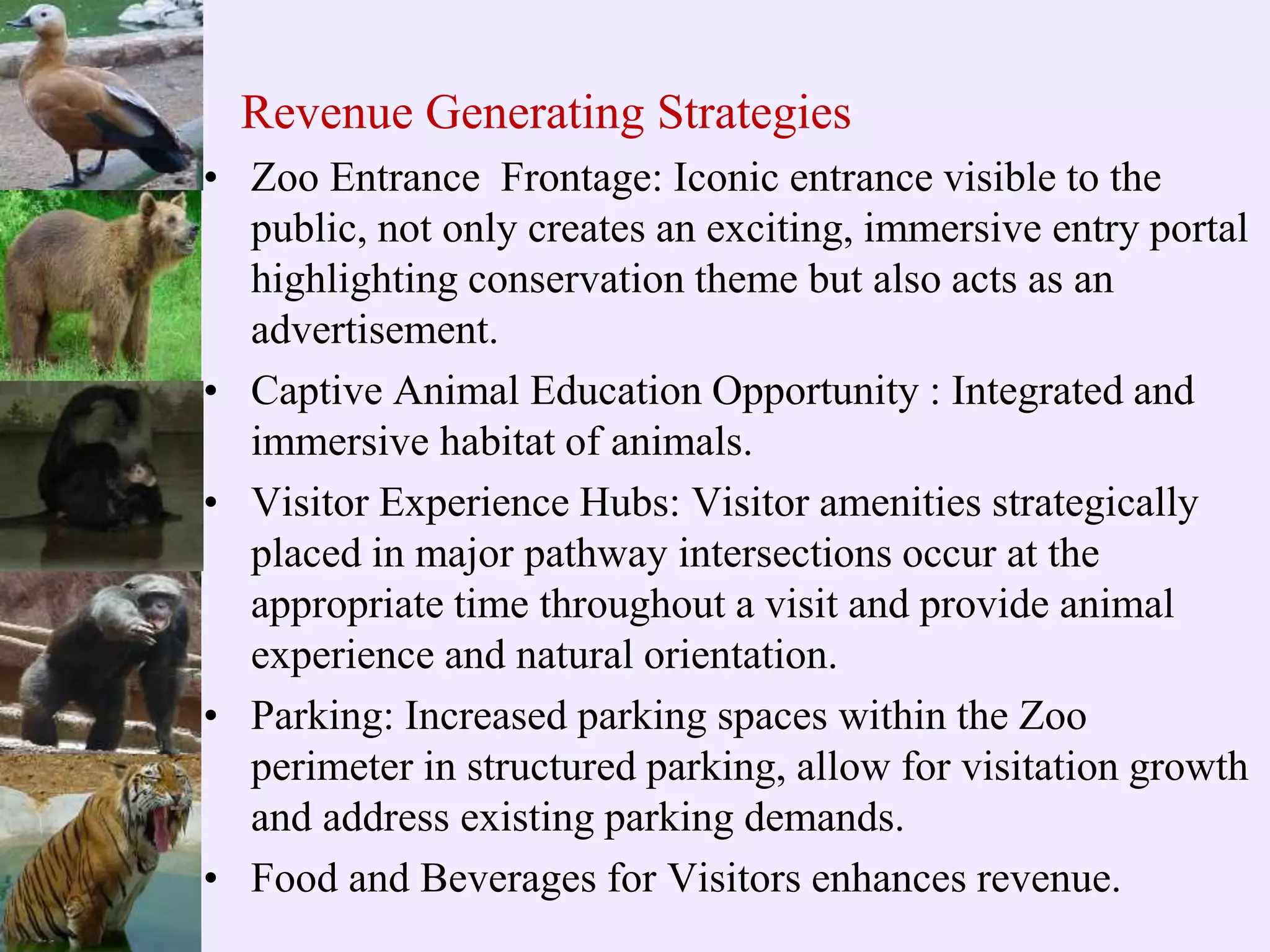 Zoo master Plan.ppt