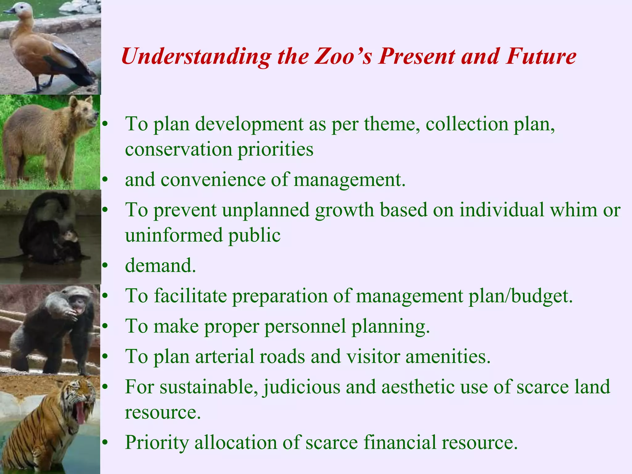 Zoo master Plan.ppt