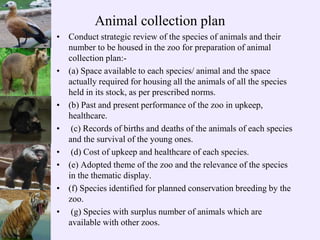 Zoo master Plan.ppt