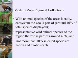 Zoo master Plan.ppt