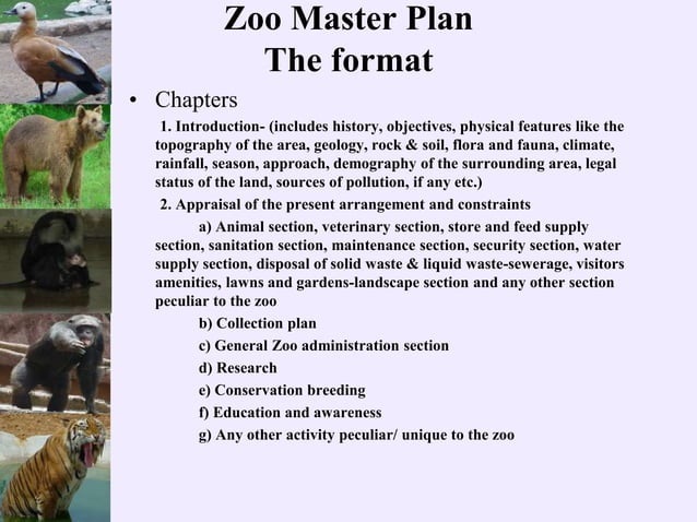 Zoo master Plan.ppt