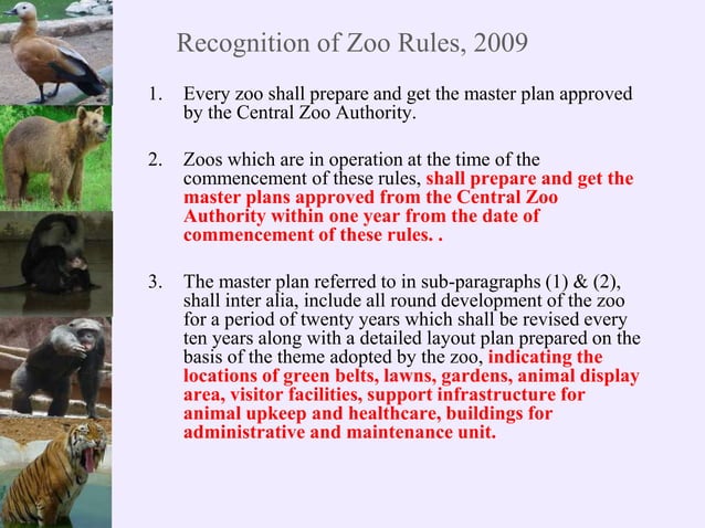 Zoo master Plan.ppt