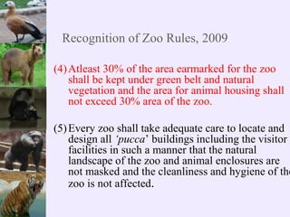 Zoo master Plan.ppt