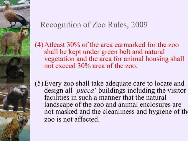 Zoo master Plan.ppt