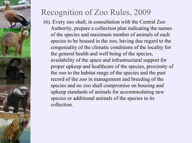 Zoo master Plan.ppt