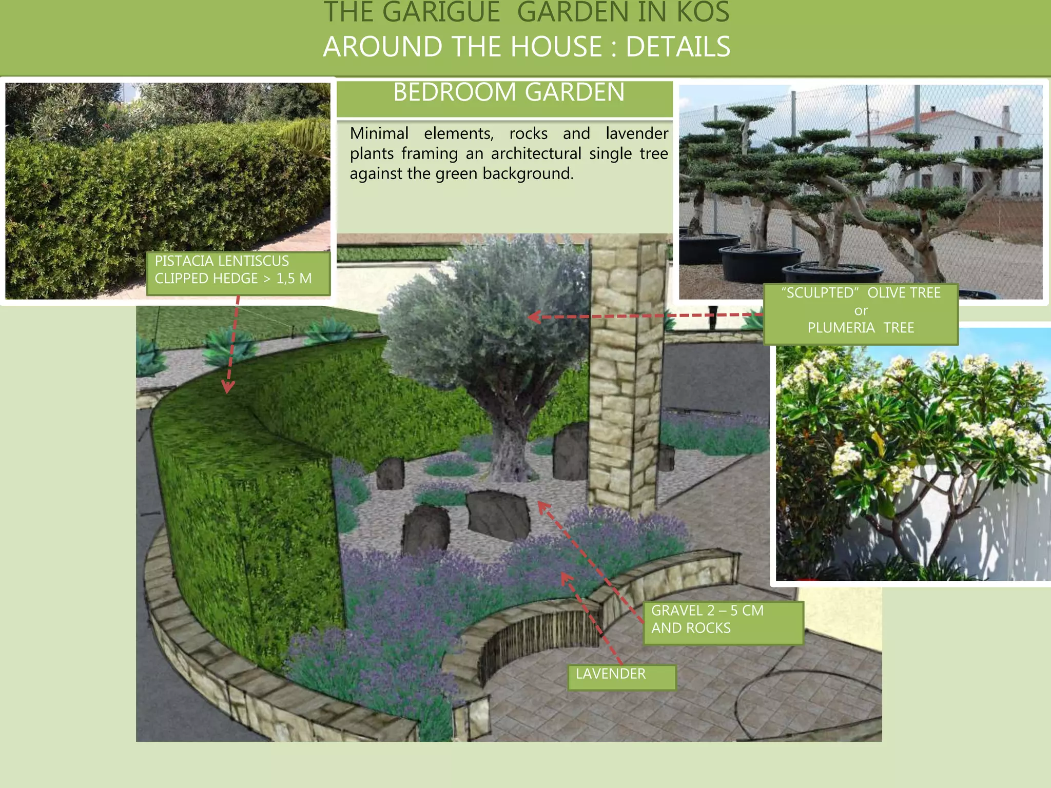 Master plan garigue garden | PPTX