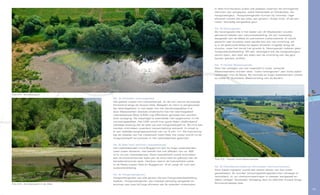 Masterplan Maasplassen | PDF