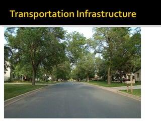 The Road to a Thoughtful Street Tree Master Plan, Power Point Series ...