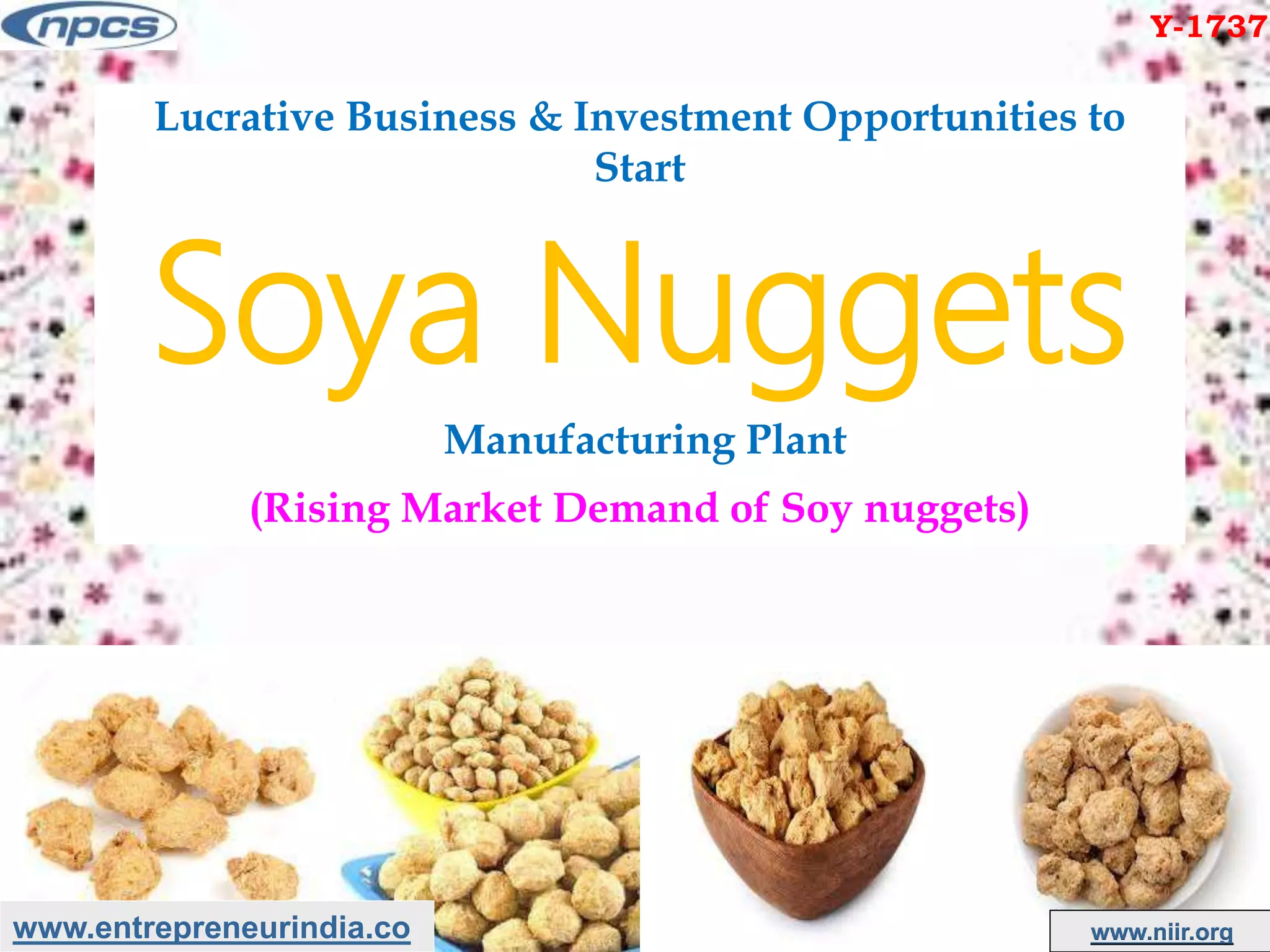 Lucrative Business & Investment Opportunities to Start Soya Nuggets ...