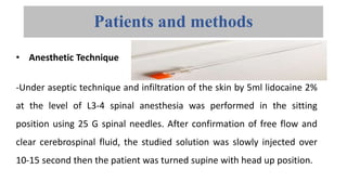 Master presentation. Ahmed Abdelhamed (1).pptx