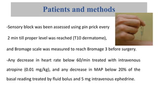 Master presentation. Ahmed Abdelhamed (1).pptx