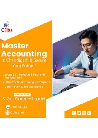 Master Professional Accounting Skills with CBITSS | PDF