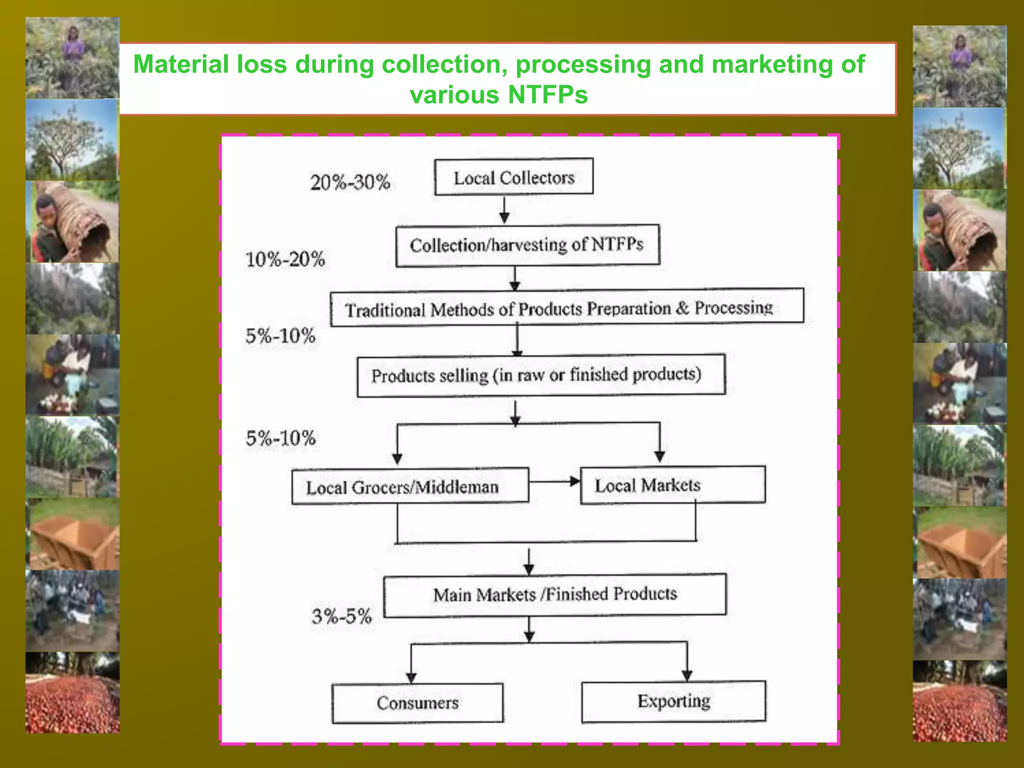 OVERVIEW OF NTFP | PPTX