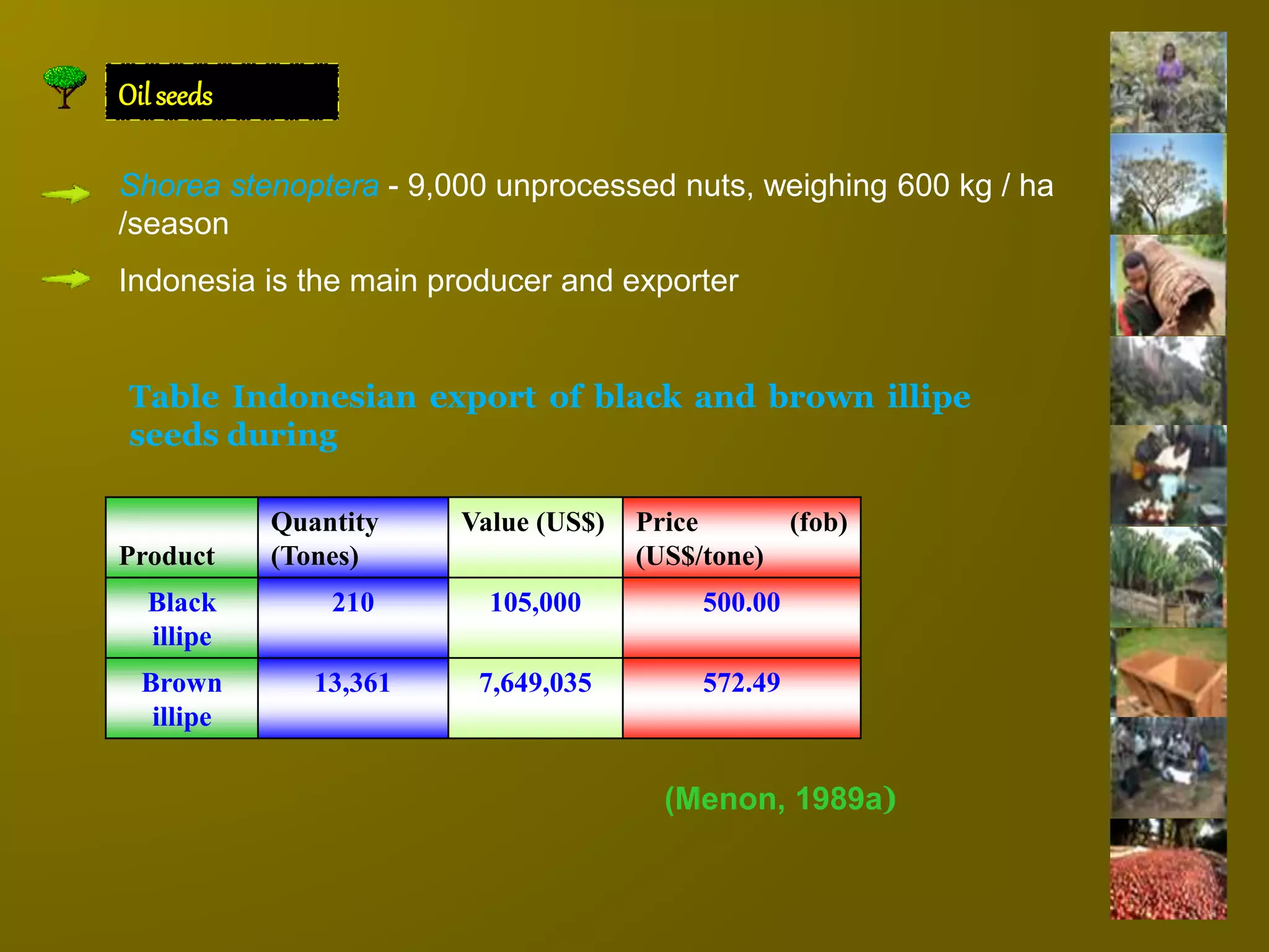OVERVIEW OF NTFP | PPTX
