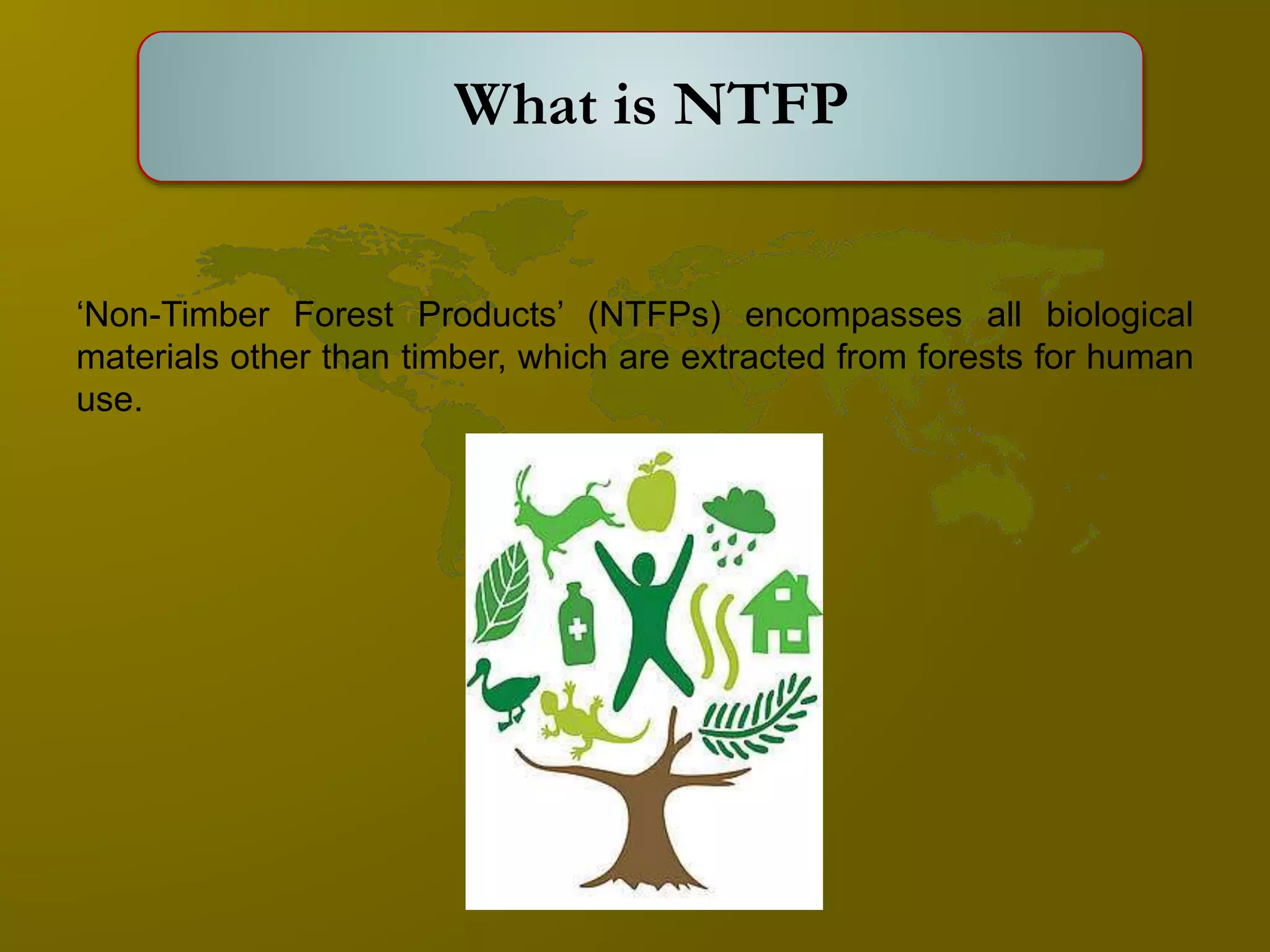OVERVIEW OF NTFP | PPTX