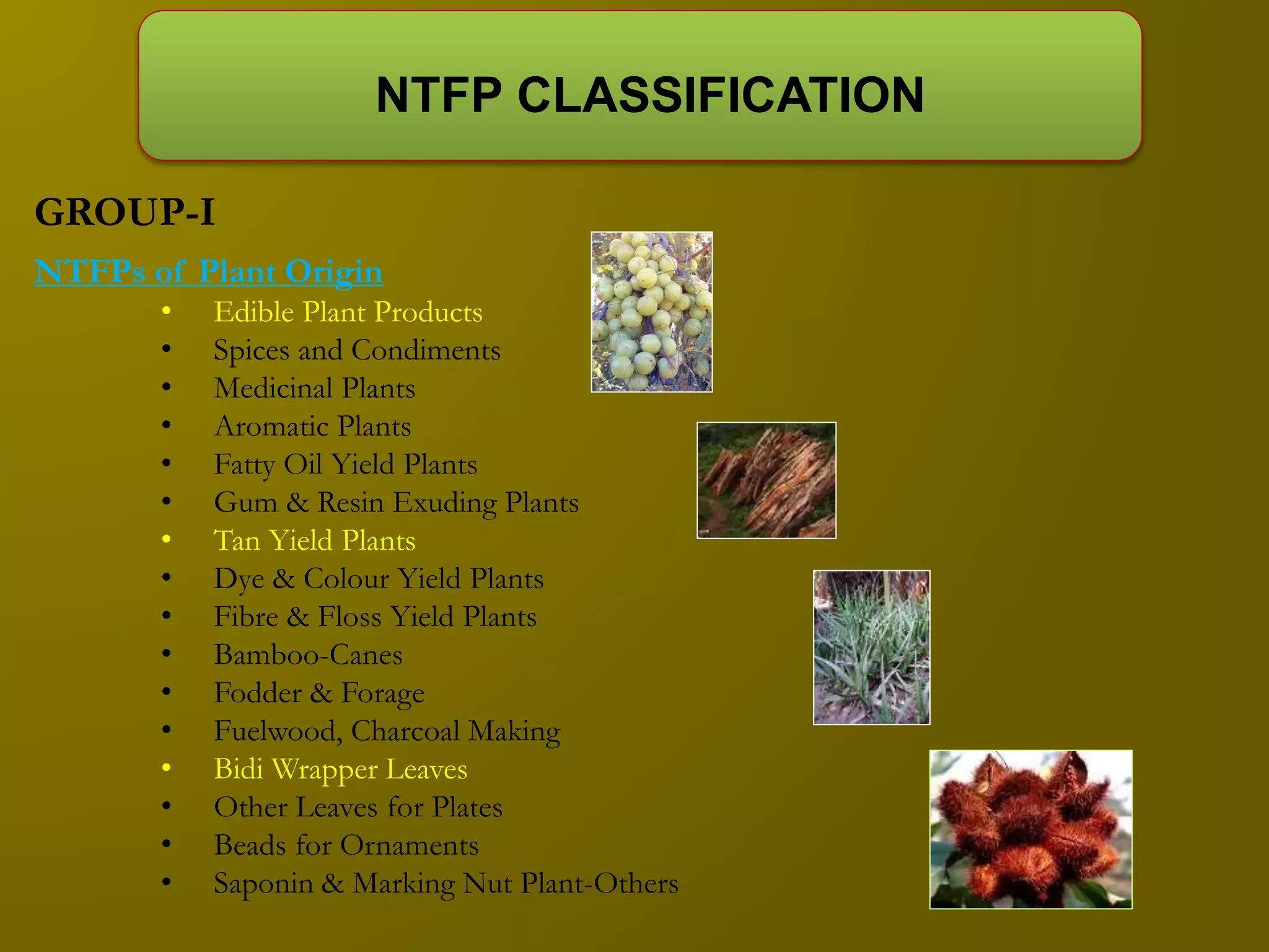 OVERVIEW OF NTFP | PPTX