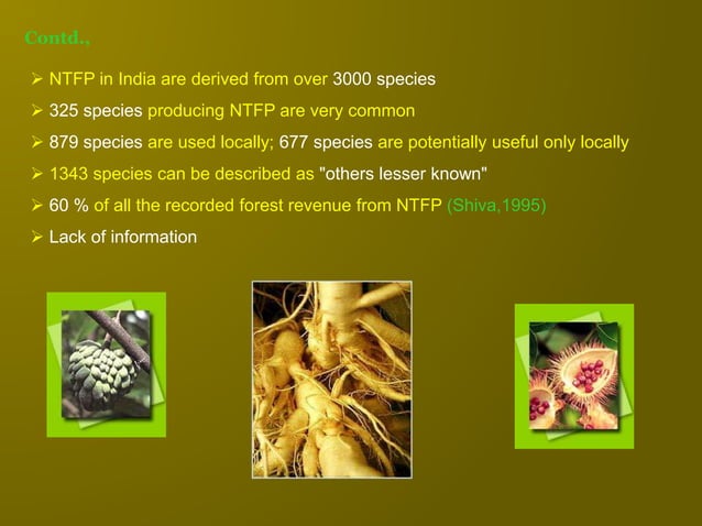 OVERVIEW OF NTFP | PPTX | Agriculture | Industries