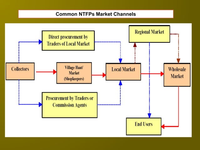 OVERVIEW OF NTFP | PPTX | Agriculture | Industries