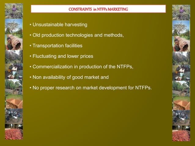 OVERVIEW OF NTFP | PPTX | Agriculture | Industries