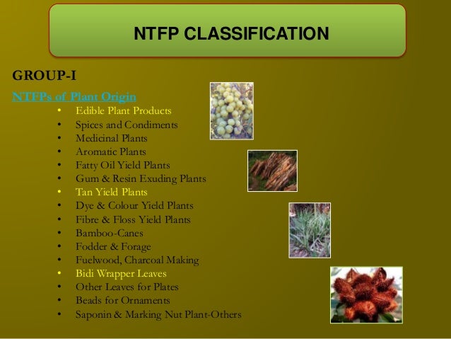 OVERVIEW OF NTFP