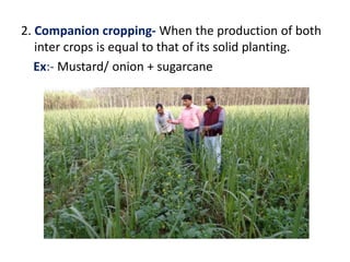 Master seminar | PPTX