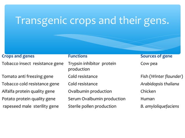TOPIC:TRANSGENIC CROPS AND THEIR IMPLICATION IN ENVIRONMENT AND FOOD ...
