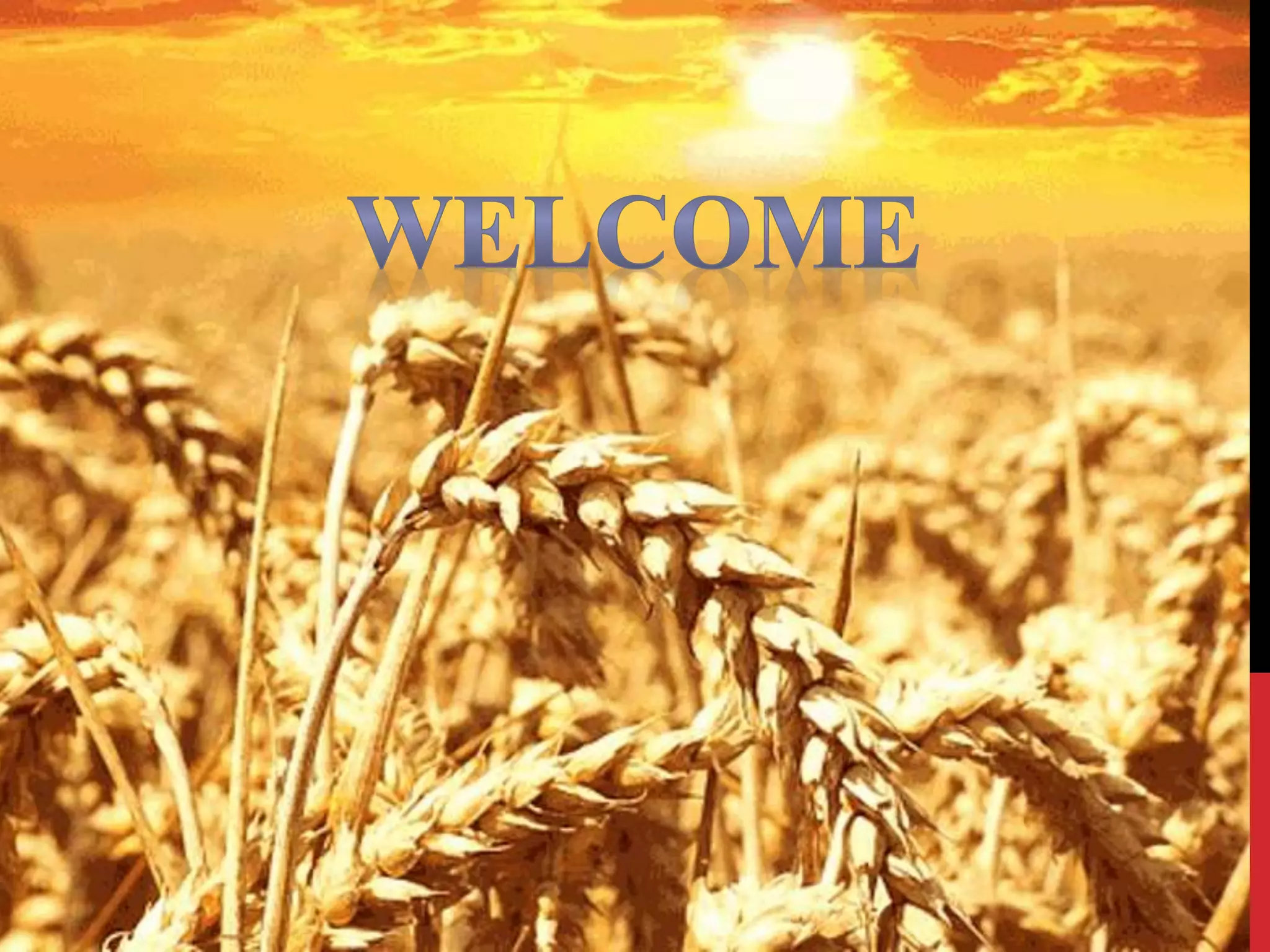 Nutritional and Medicinal benefits of millets | PPTX