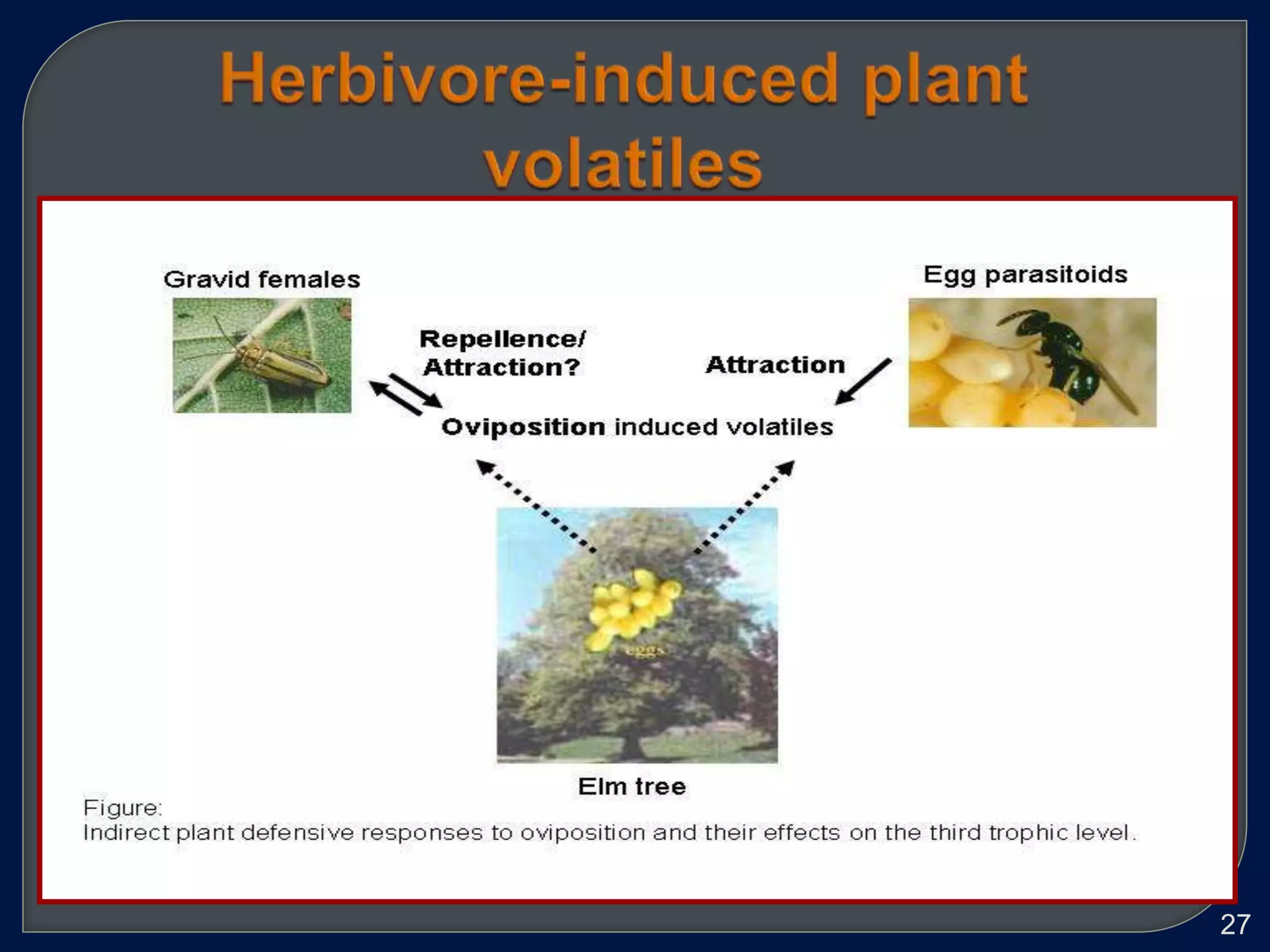 Role of info-chemicals | PPT