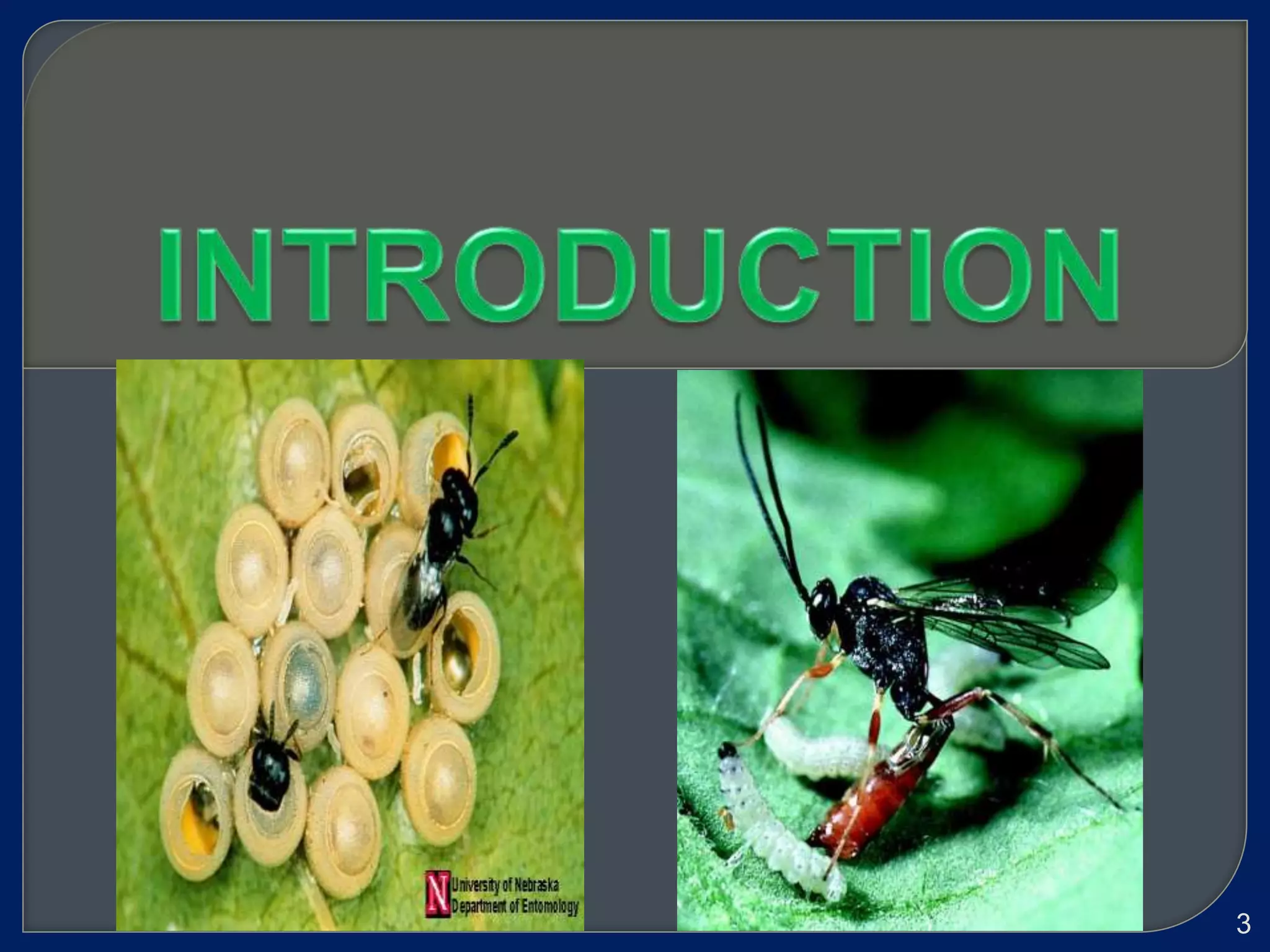 Role of info-chemicals | PPT