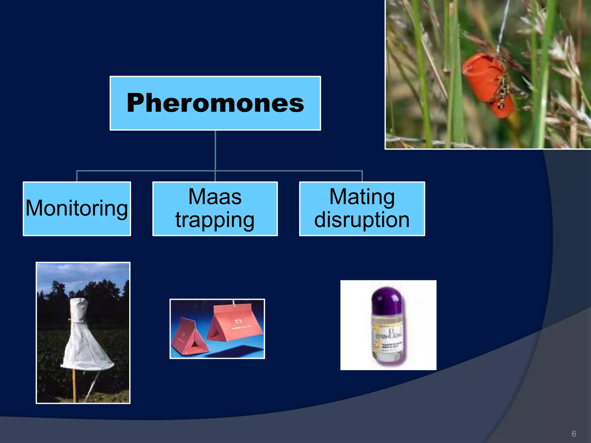 Role of info-chemicals | PPT